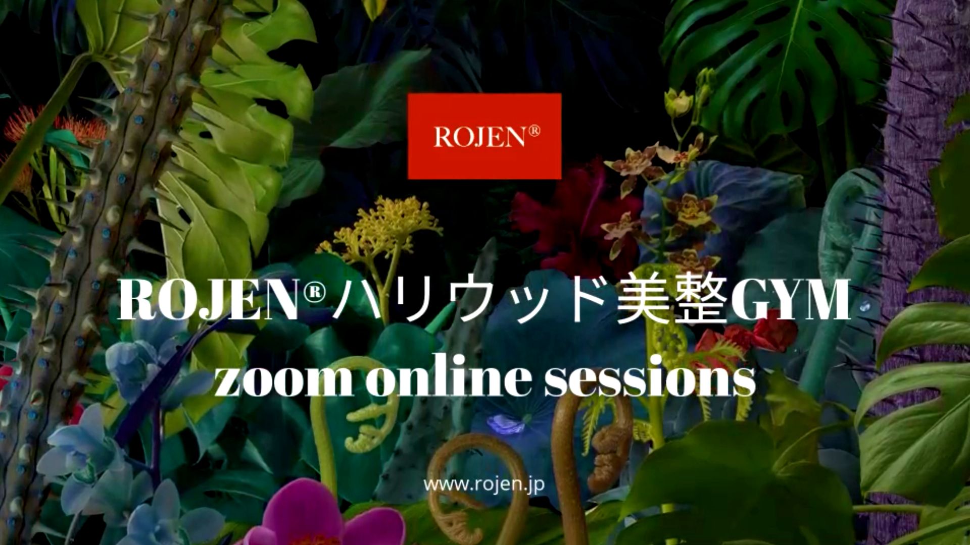 biseigym01 | ROJEN®