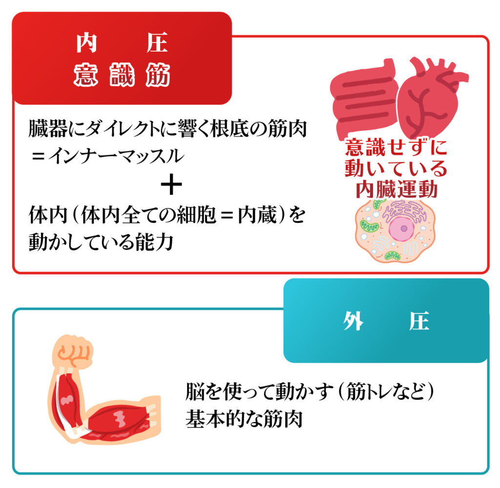 ishikikin02 | ROJEN®