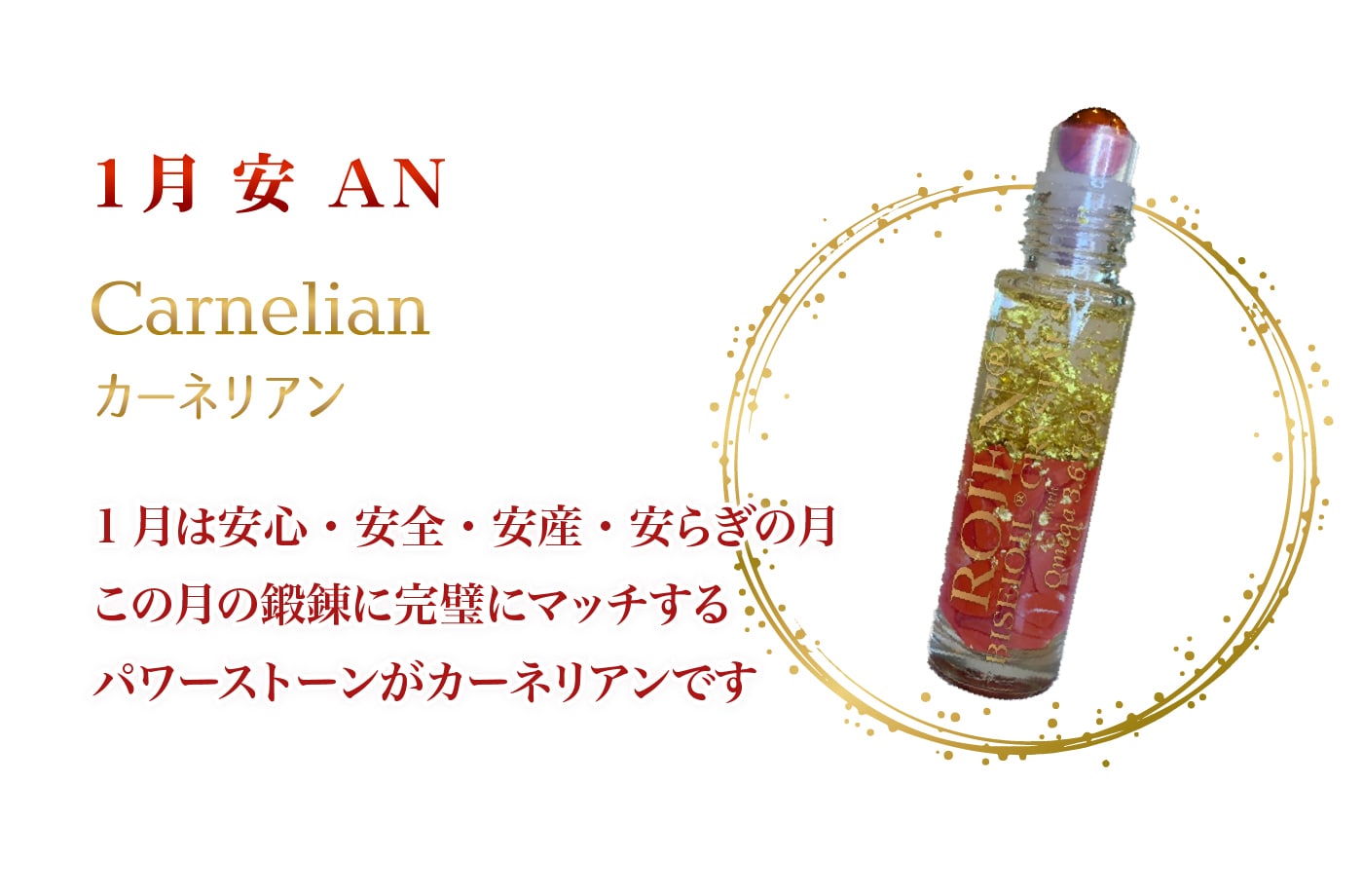 01_AN_disc | ROJEN®