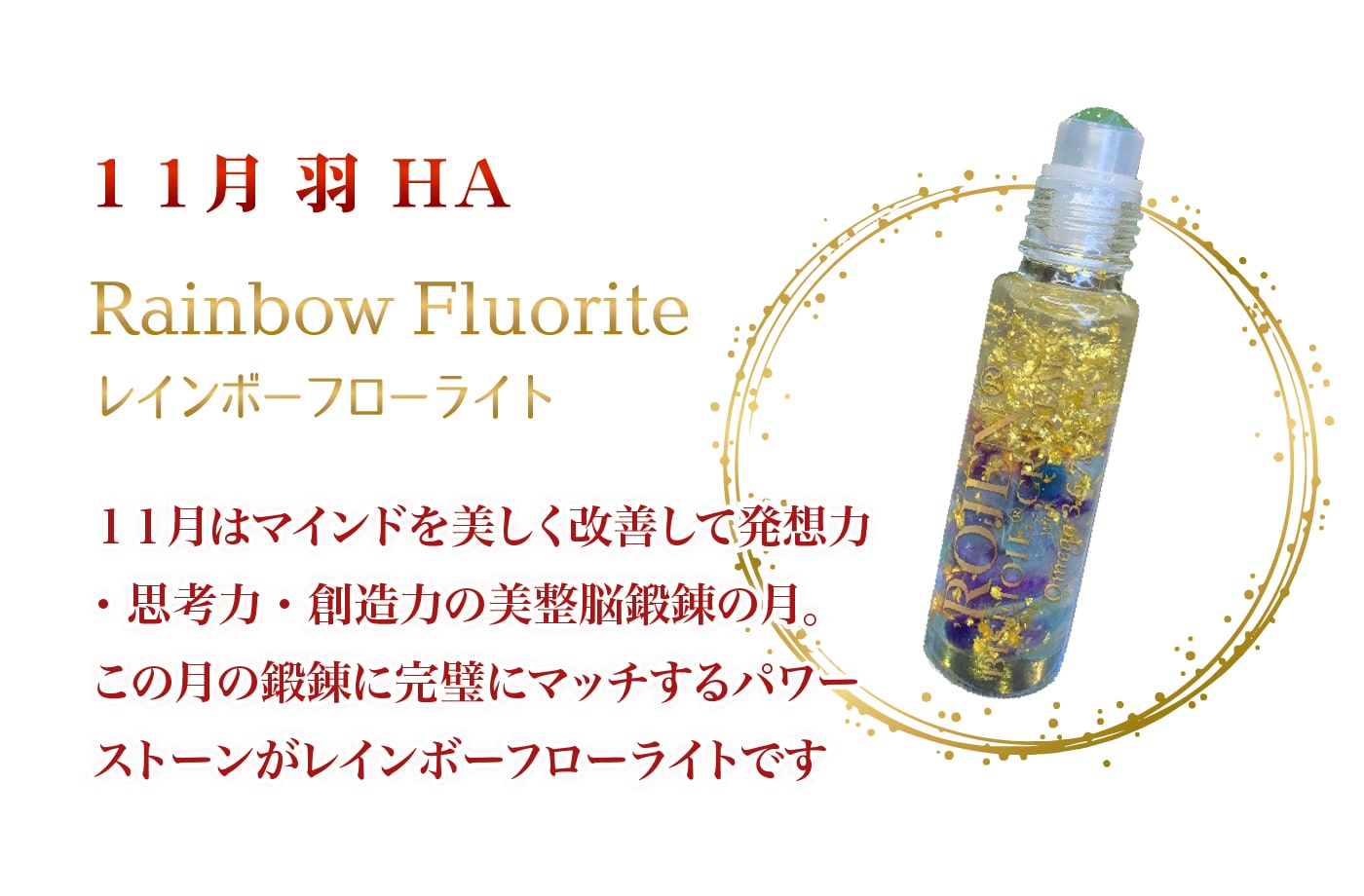 11_HA_disc | ROJEN®