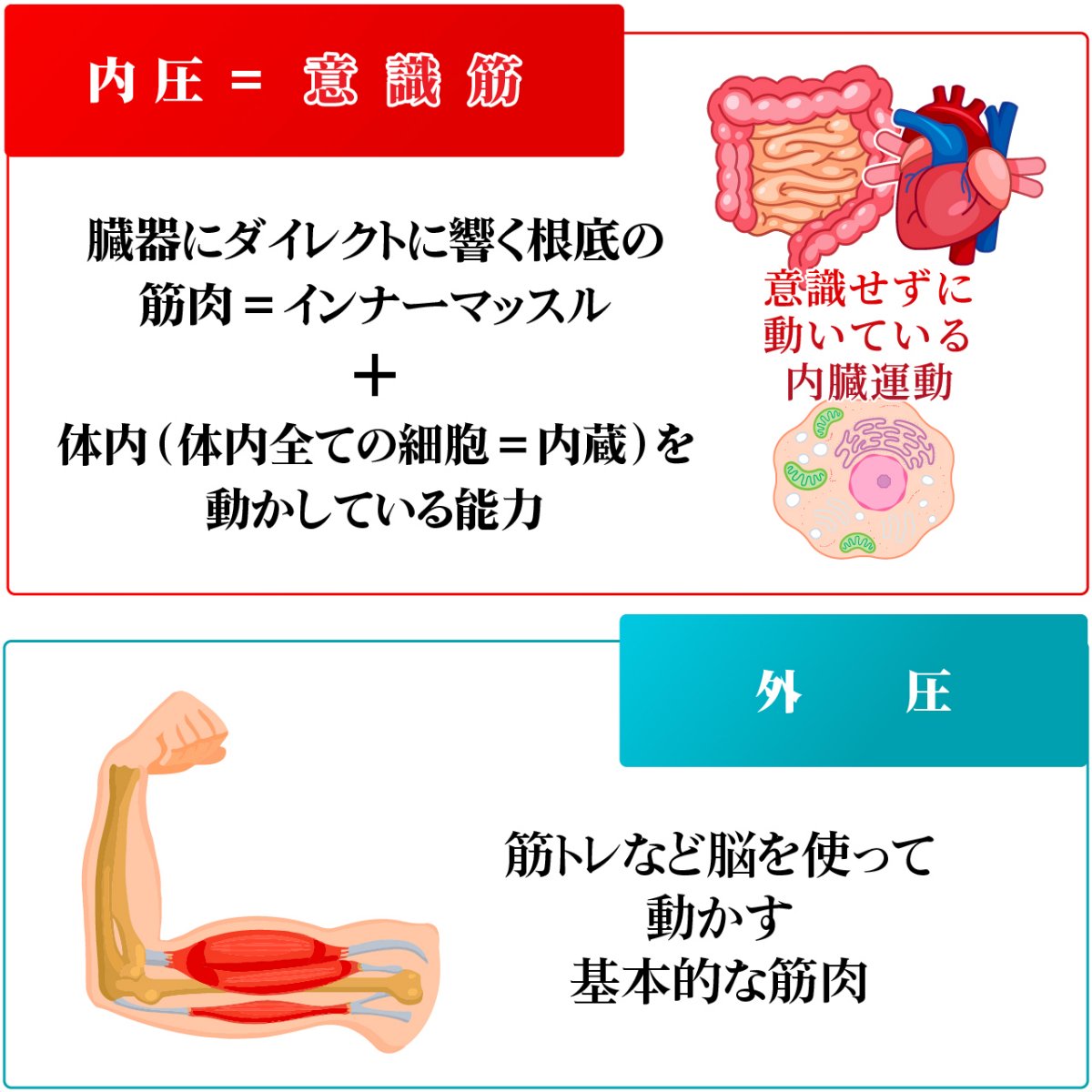 ishikikin01 | ROJEN®