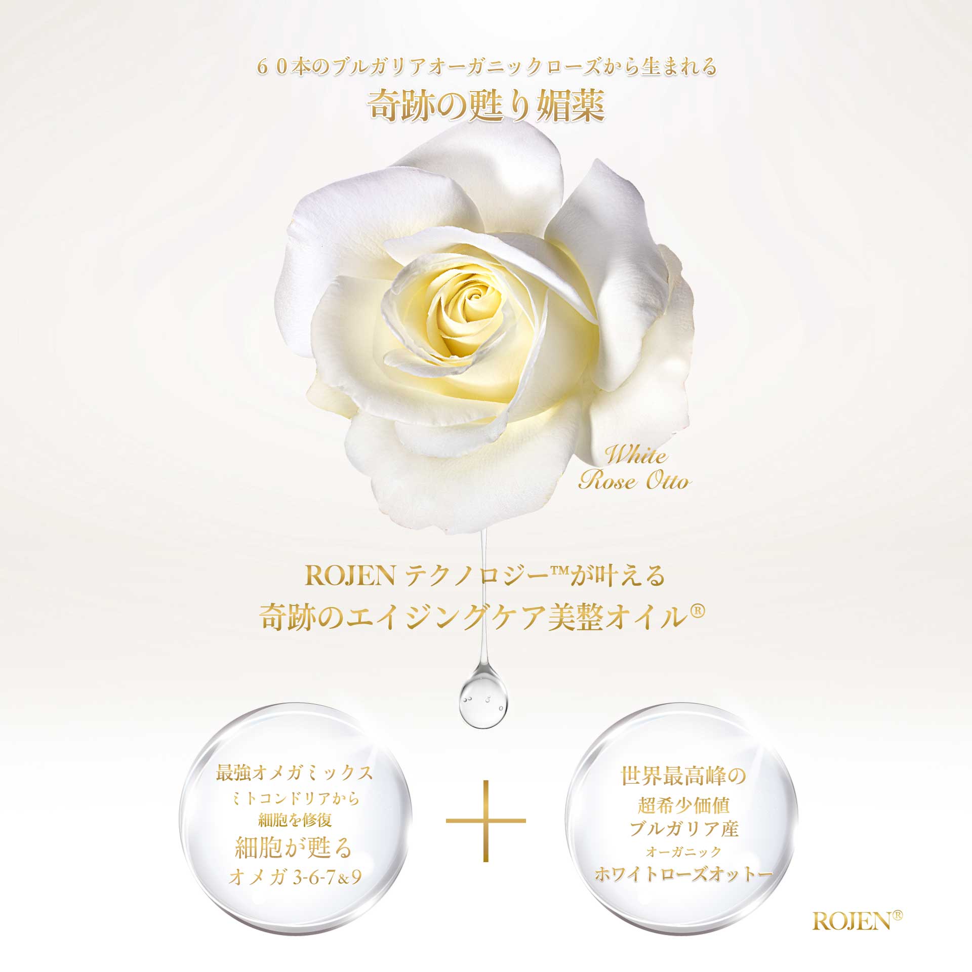 white_002 (1) | ROJEN®