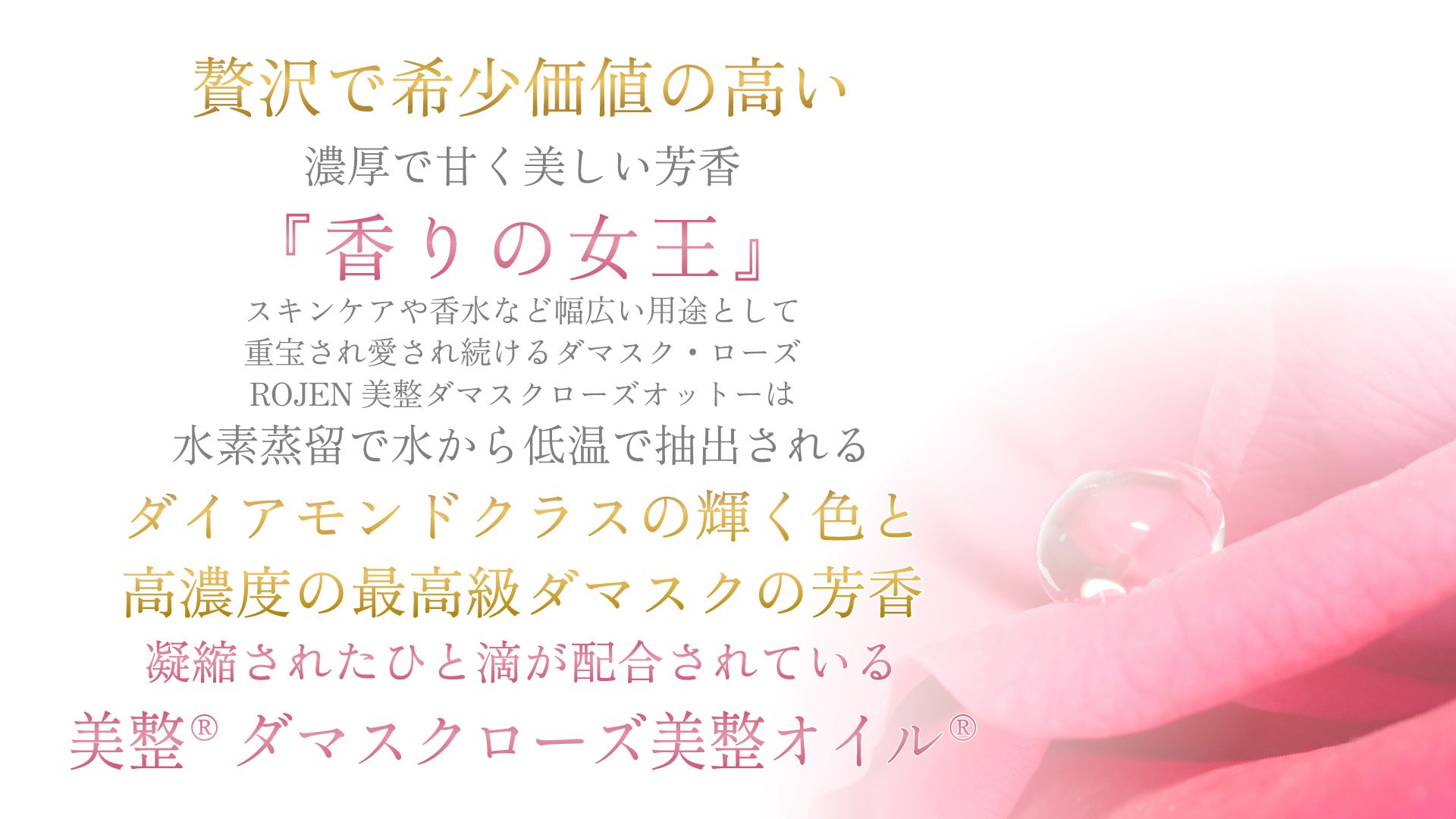 SL-pink03_new | ROJEN®