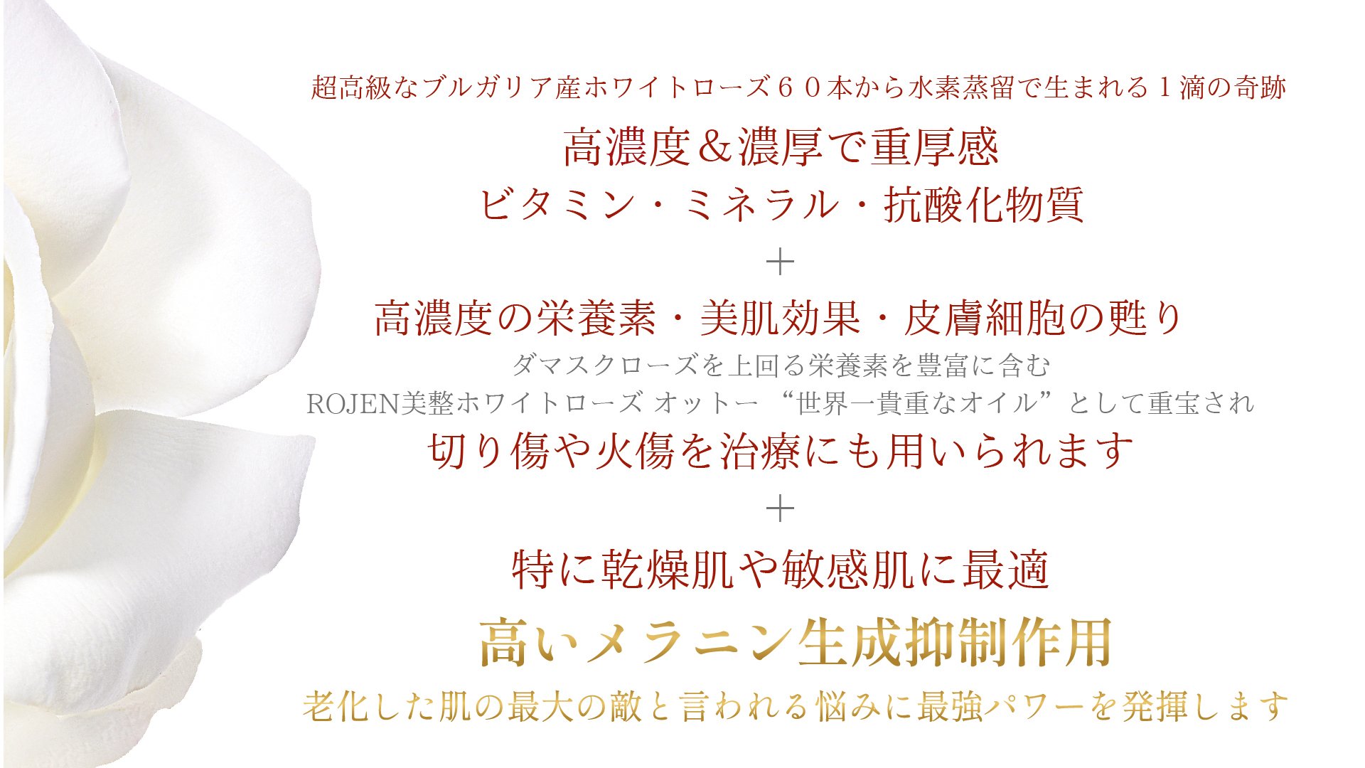 SL-white02 | ROJEN®