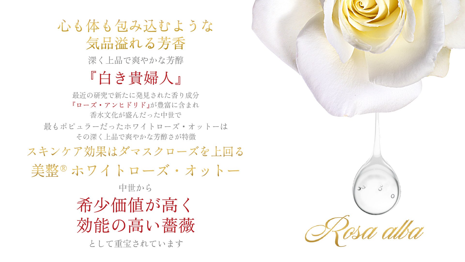 SL-white03_new | ROJEN®