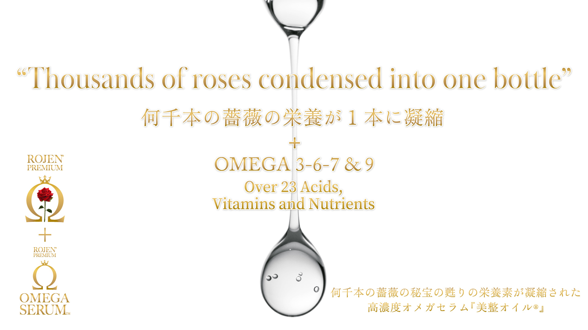 otto-PR-Slide_05 | ROJEN®