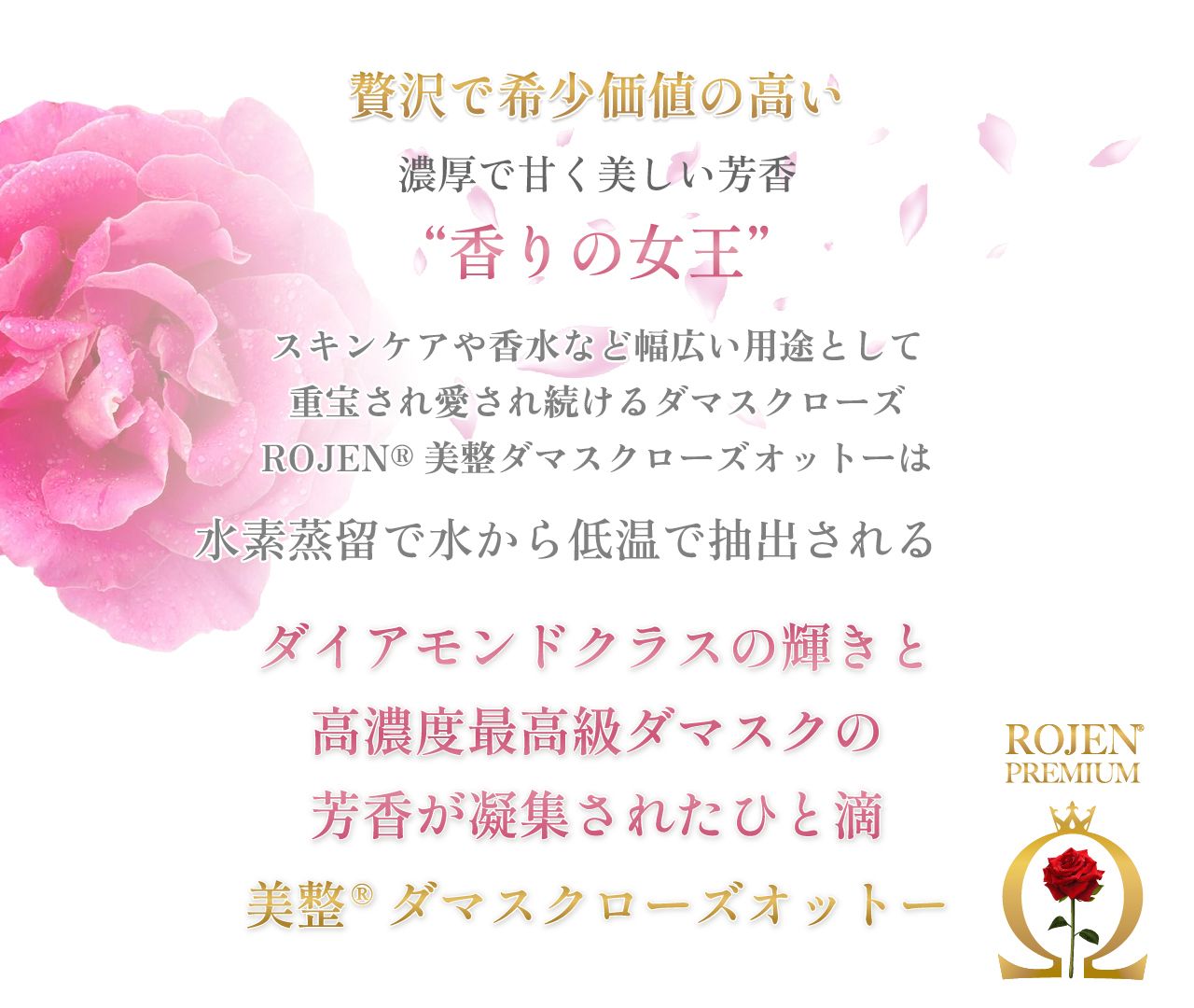 otto-Pink002_mb | ROJEN®