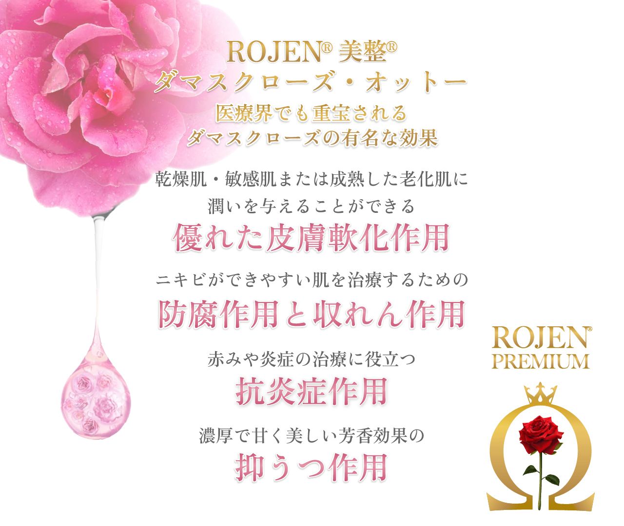 otto-Pink004_mb | ROJEN®