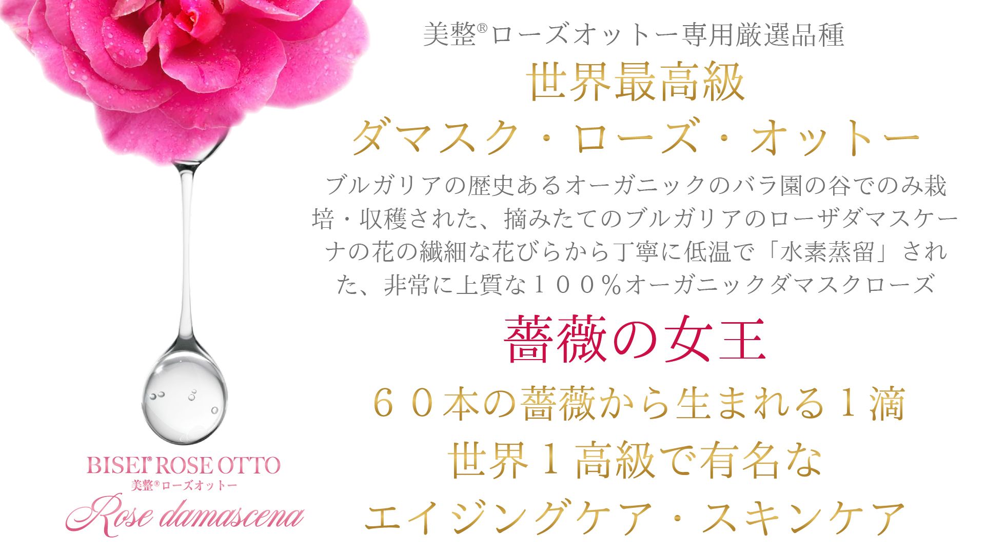 DSK_JP_001_02 | ROJEN®