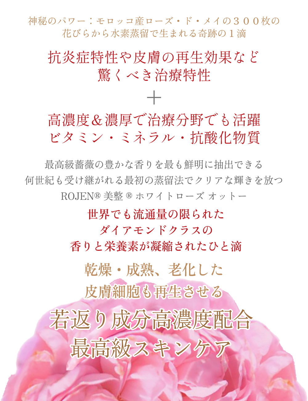 otto-Mai-SL_JP02_s | ROJEN®