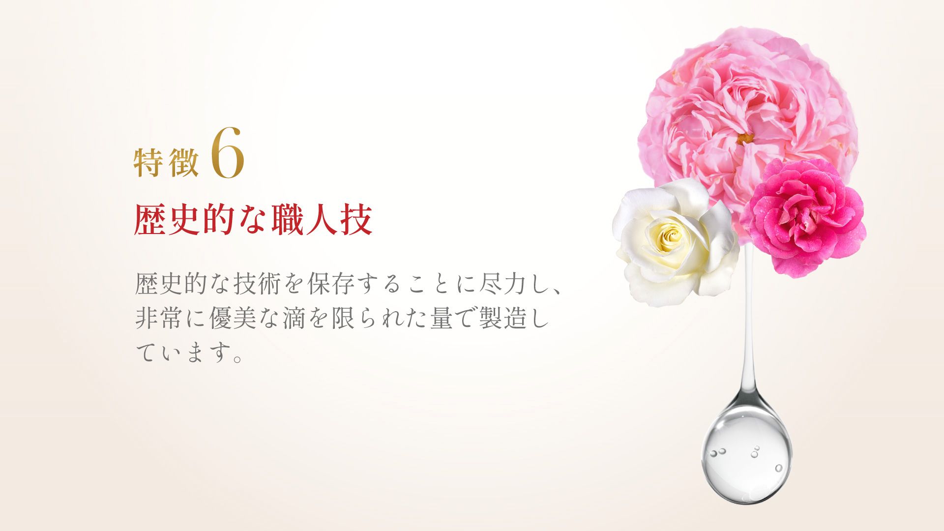 otto-feature_06_JA | ROJEN®