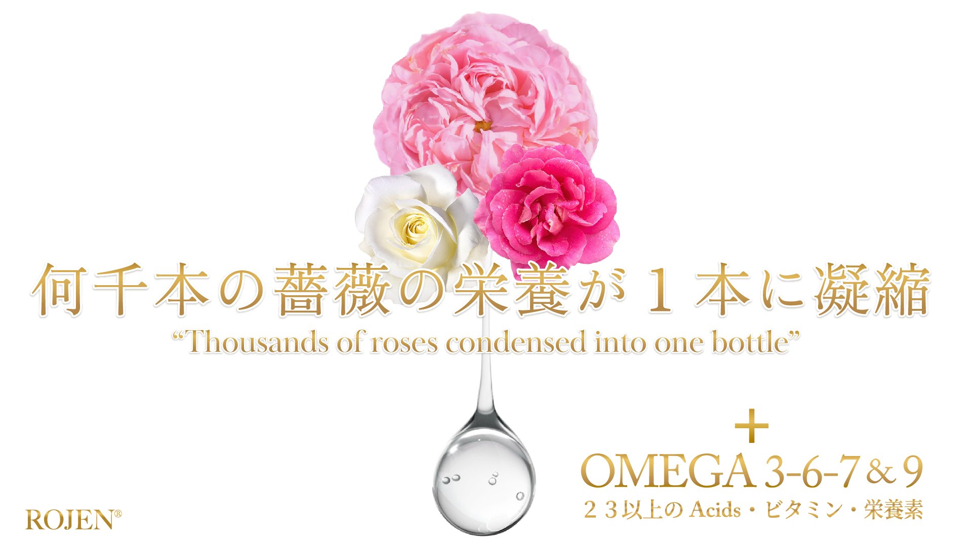 otto-PR_02 | ROJEN®