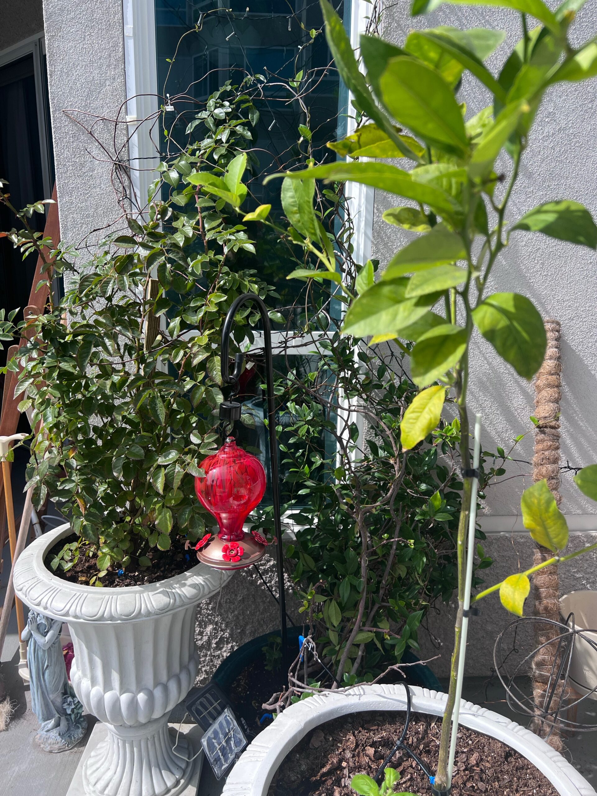 column-20241013-a | ROJEN®