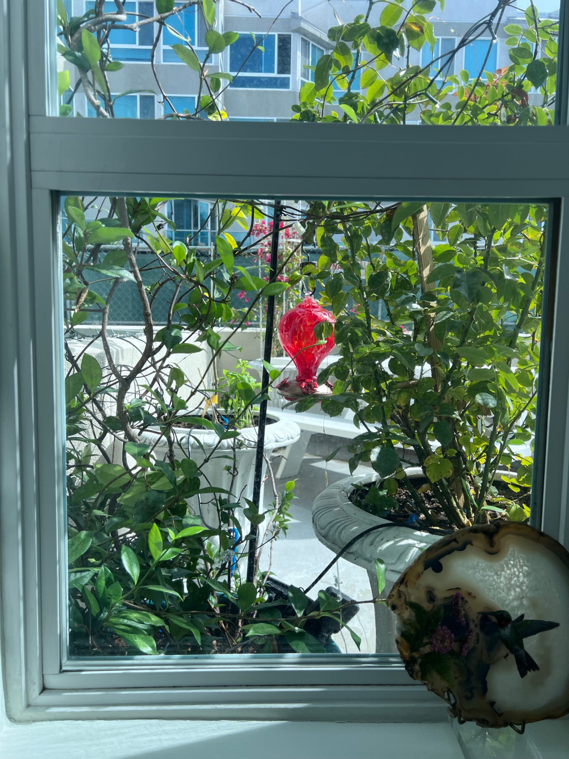 column-20241013-d | ROJEN®