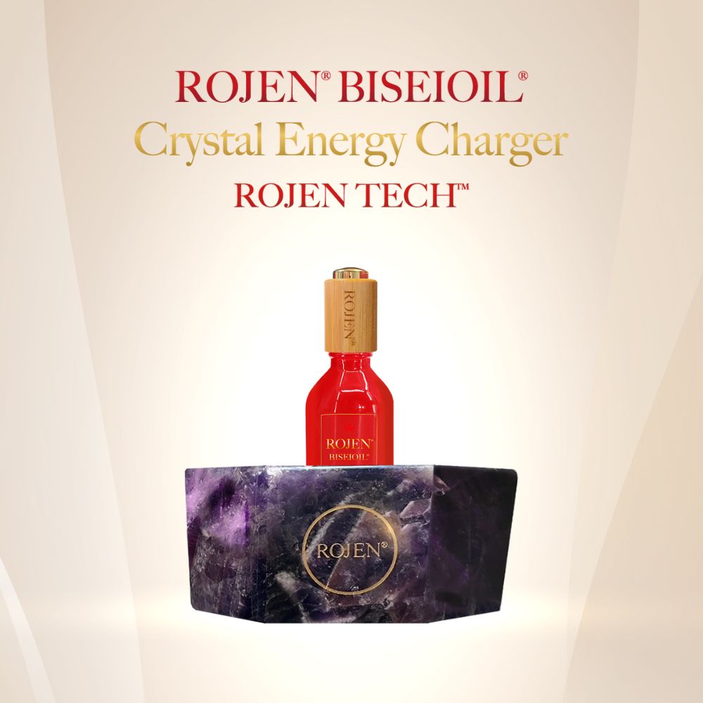 charger_202502 | ROJEN®