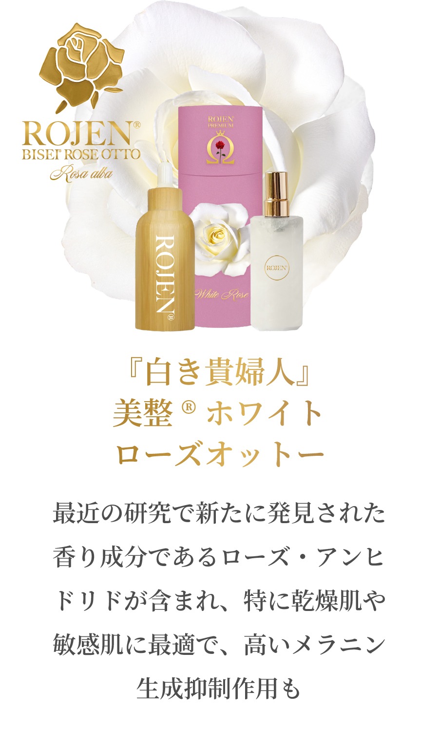 OTTO-WHITE_NEW | ROJEN®